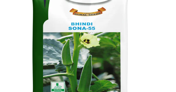 Sonal Sona-55 Research Bhindi Seeds Seeds: Producer, Manufacturer ...