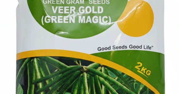Sonal Veer Gold (Green Magic) Moong Seeds Seeds: Producer, Manufacturer ...