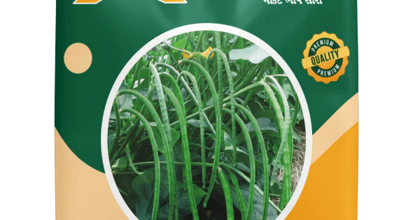 Sonal Sona-2 Lobia Seeds Seeds: Producer, Manufacturer, Supplier ...