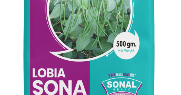 Sonal Sona 305 Lobia Seeds Seeds: Producer, Manufacturer, Supplier ...