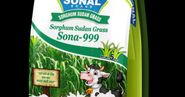 Sonal SSG Sona 999 Fodder Seeds Seeds: Producer, Manufacturer, Supplier ...
