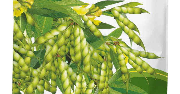 Sonal Bolt Green Research Tuwar Seeds Seeds: Producer, Manufacturer ...