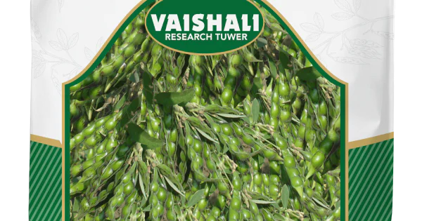 Sonal Vaishali Research Tuwar Seeds Seeds: Producer, Manufacturer ...